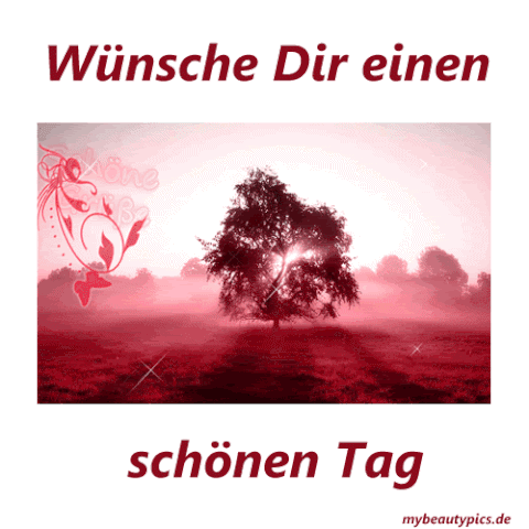 Bis GIFs - Get the best gif on GIFER