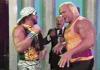 Macho man randy savage GIF - Conseguir el mejor gif en GIFER