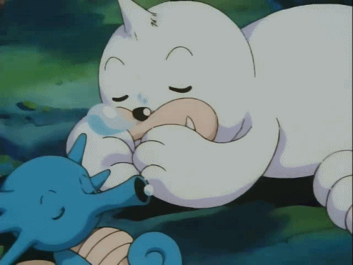 Seel GIFs - Get the best gif on GIFER