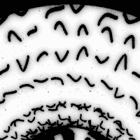 Movement GIFs - Get the best gif on GIFER
