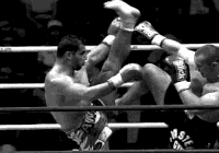 Fisticuffs GIFs - Get the best gif on GIFER