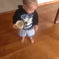 First GIFs - Get the best gif on GIFER