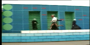 Pancreas GIF - Conseguir el mejor gif en GIFER