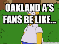 Oakland GIFs - Get the best gif on GIFER