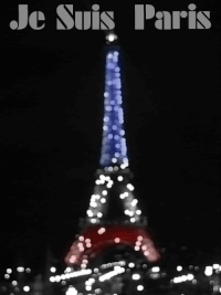 France GIFs - Get the best gif on GIFER