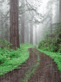 Nature GIFs - Get the best gif on GIFER