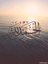 Calligraphy GIFs - Get the best gif on GIFER