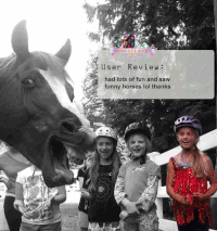 Letterbox GIFs - Get the best gif on GIFER