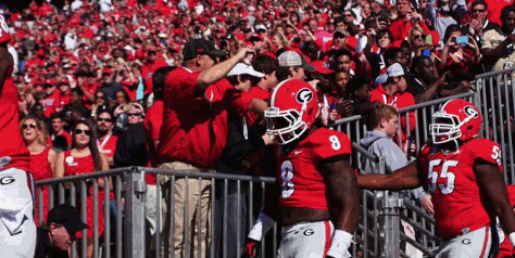 University of georgia GIF - Conseguir o melhor gif em GIFER