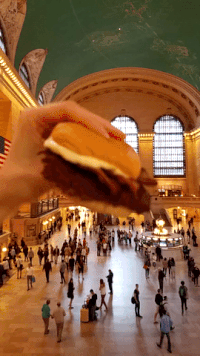 Shack GIFs - Get the best gif on GIFER