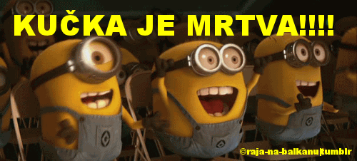 Balkan GIFs - Get the best gif on GIFER