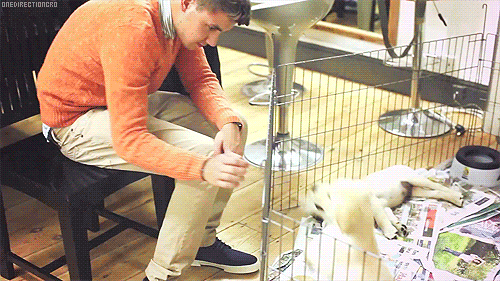 Boys with puppies GIF - Conseguir o melhor gif em GIFER