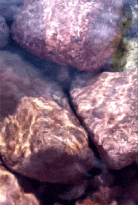 Rivers GIFs - Get the best gif on GIFER