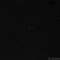 1000 GIFs - Get the best gif on GIFER