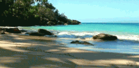 Beach GIFs - Get the best gif on GIFER