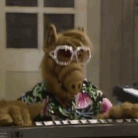 Alf GIFs - Get the best gif on GIFER