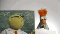 Beaker GIFs - Get the best gif on GIFER
