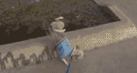 Humoristique GIFs - Obtenez le meilleur gif sur GIFER