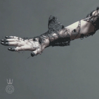 Devonstern GIFs - Get the best gif on GIFER