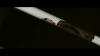 Death GIFs - Get the best gif on GIFER