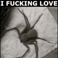 Snorting GIFs - Get the best gif on GIFER