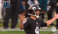 Baltimore ravens GIF - Conseguir el mejor gif en GIFER