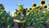 Shrek movie GIFs - Get the best gif on GIFER