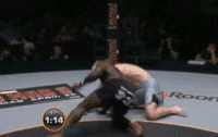Mma GIF - Conseguir o melhor gif em GIFER