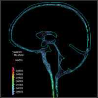 Dinamica GIFs - Get the best gif on GIFER