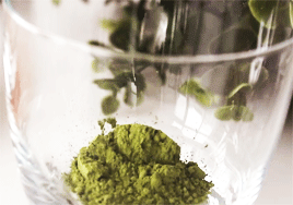 Matcha GIF - Conseguir el mejor gif en GIFER