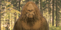 Sasquatches GIFs - Get the best gif on GIFER