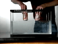 Float GIFs - Get the best gif on GIFER