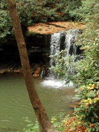 Ecosystem GIFs - Get the best gif on GIFER