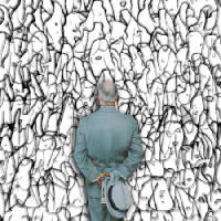 Admiration GIFs - Get the best gif on GIFER