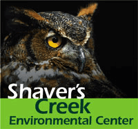 Prey GIFs - Get the best gif on GIFER