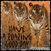 Roar GIFs - Get the best gif on GIFER