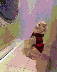 Dryers GIFs - Get the best gif on GIFER