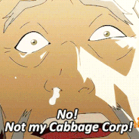 Cabbage GIFs - Get the best gif on GIFER