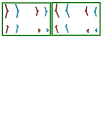 Cell division GIFs - Get the best gif on GIFER