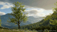 Trees GIFs - Get the best gif on GIFER
