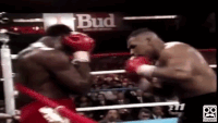 Tysons GIFs - Get the best gif on GIFER