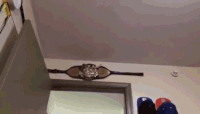Ceiling GIFs - Get the best gif on GIFER