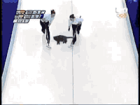 Curling GIFs - Get the best gif on GIFER