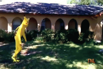 Cheezburgeokmon GIF - Conseguir o melhor gif em GIFER