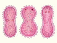 Bacteria GIFs - Get the best gif on GIFER