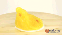 Dieta GIFs - Get the best gif on GIFER