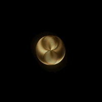 Spline GIFs - Get the best gif on GIFER