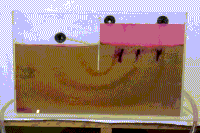 Groundwater GIFs - Obtenez le meilleur gif sur GIFER