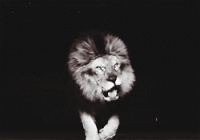 Powerful GIFs - Get the best gif on GIFER