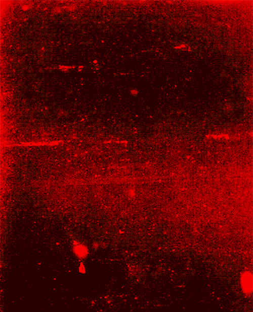 35mm GIFs - Get the best gif on GIFER